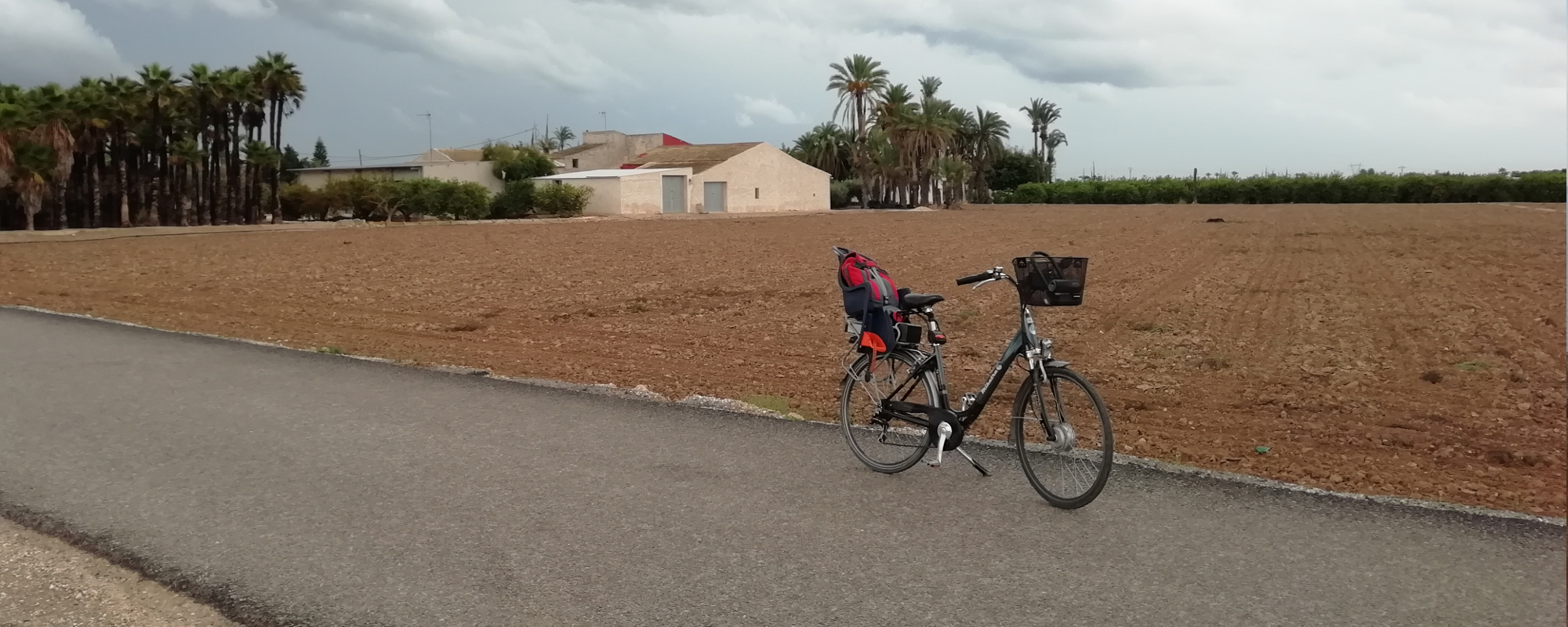 Ruta por el Sinus Ilicitanus (Torrellano – Estación de Crevillente ...